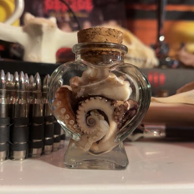 Vintage Medical Encyclopedia Dictionary Pages With Anatomy ...