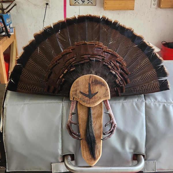 Multi Beard Turkey Fan Display WITH SHELF - Etsy