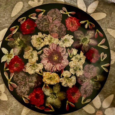 60 Pc Pressed Flowers Anemone Buttercup Periwinkle Daffodil Lenten Rose ...