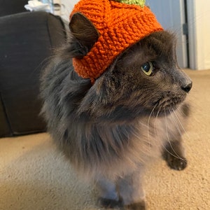 Summer Hat for Cat Red Brim Kitty Hat Flower Hats for Cats | Etsy