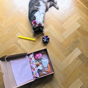 Personalised Cat Birthday Gift Box Gotcha Day Presents Pet - Etsy