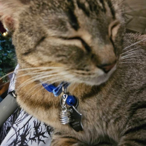 Natural Crystal Pet Collar Charms, Protection and Healing Stone Collar ...