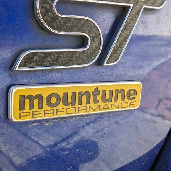 2013-2019 Focus ST Carbon Fiber Emblem Overlay Decal Inserts (set of 2 ...