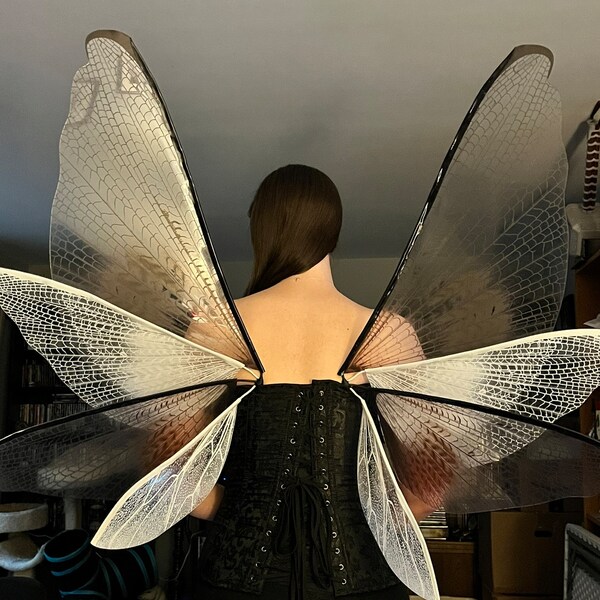 Transparent Fairy Wings: Butterfly Moth Elf Halloween Costume Wings - Etsy