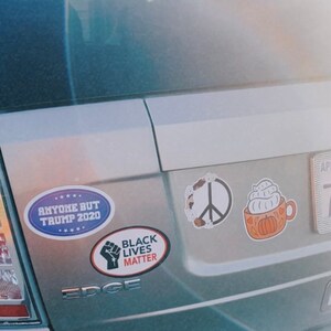 Dalmation Moth Vinyl Sticker | Etsy