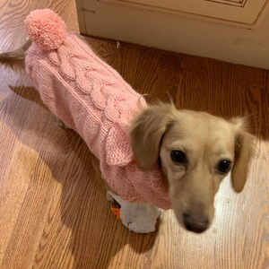 Warm Coat for Wiener Dog, Miniature Dachshund Knitted Jumper, Dachshund ...
