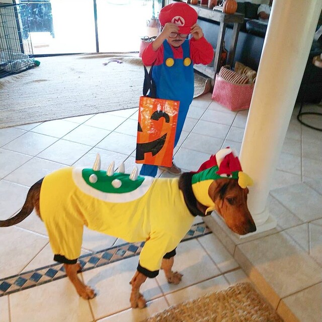 Bowser Costume For Dogs