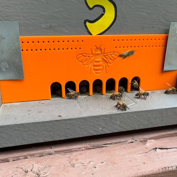 Monarch Butterfly Raising Kit- Butterfly Raising Kit, Milkweed Floral ...