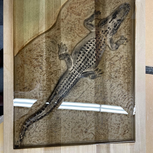 Flyfishing Trout Mirror Stl, 3d Trout Stl, Fishing Stl, Brown Trout ...