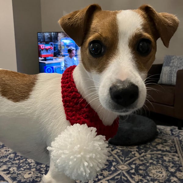 Christmas Dog Scarf With Pompom - Available in 4 Colour Schemes - Santa ...