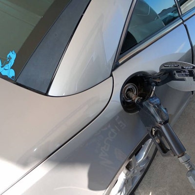 Furries Ruin EVERYTHING Decal Furry Fandom, Anthropomorphic Vinyl Decal ...