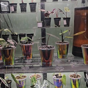 V2 Milsbo Tall Series Acrylic Shelves and Accessories - Etsy