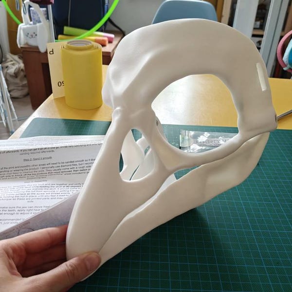 Raven Bird Skull Corvus Bone Skull Mask - Movable Moving Hinge Jaw- 3D ...