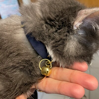 Sun and Moon Pet Collar Charm, Cat Collar Charm, Moon Dog Collar Charm ...