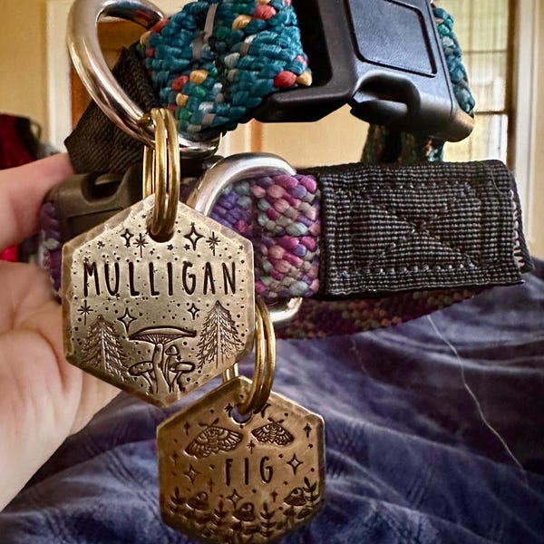 Dog Tag, Dog Tags for Dogs, Dog Tags, Pet Id Tag, the Tardis, Phone ...