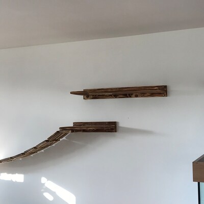 Cat Privacy Compartment W/ Paw Scratcher - Etsy