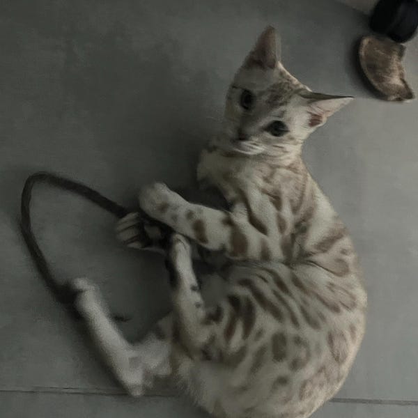 Hemp Fabric and Feathers Cat Kicker Toy With Catnip by Your Choice ...