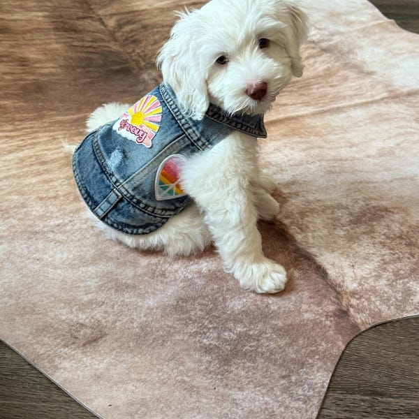 Dog Denim Jacket, Custom Dog Denim Vest, Personalized Dog Jean Jacket ...
