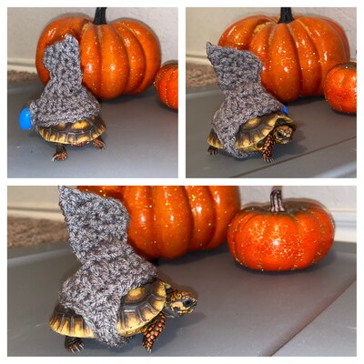 Tortoise Shark Sweater - Etsy