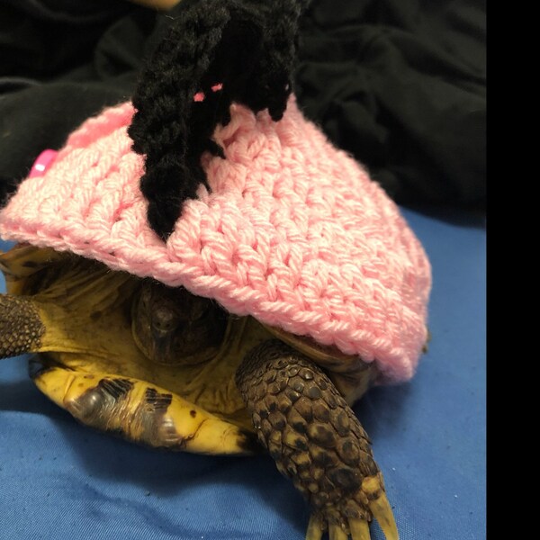 Tortoise Sweater-stegatortoise, Turtle Costume, Pet Costumes, Tortoise ...