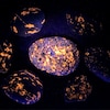 Yooper Stones Fluorescent Sodalites 1 Lb Lot Emberlites Lake Superior ...