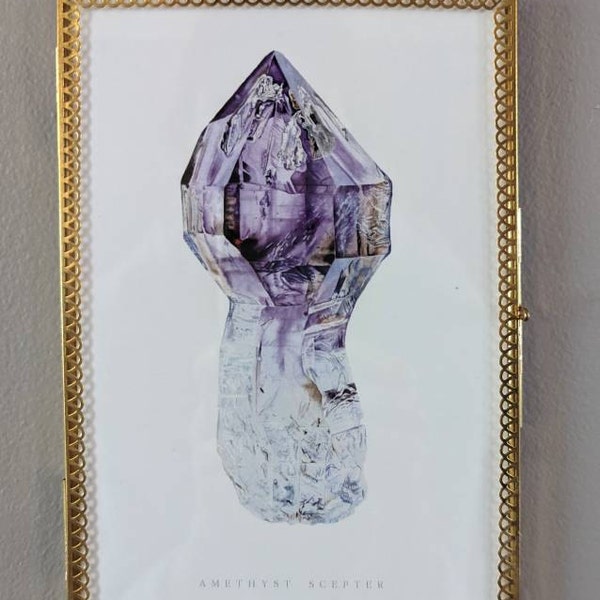 The Forager No. 1 Edible Wild Foods Poster, Foraging Poster, Edible and ...