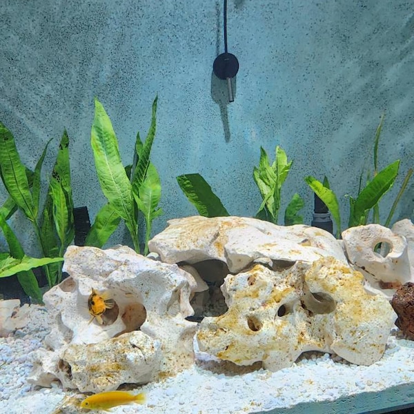 Texas Holey Rock Limestone Fish Aquarium Reptile Habitat Terrarium ...