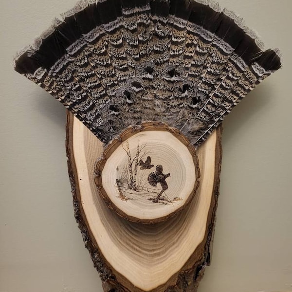 Hunting. Grouse Hunting. Grouse Fan Display. Grouse Fan Mount. Grouse ...
