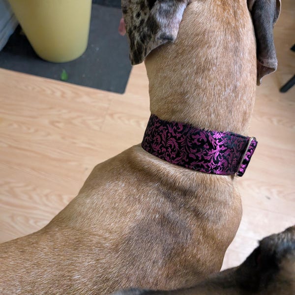 Martingale Collar, Dog Collar, Sighthound Collar, Galgo Collar ...