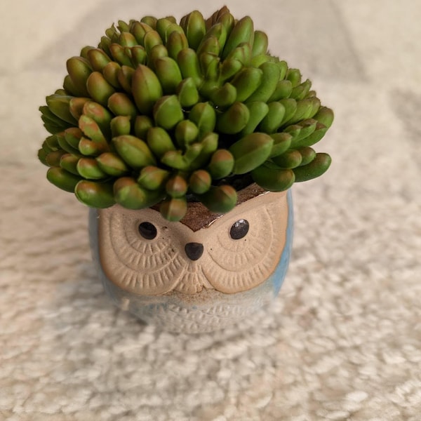 My Cup Runneth Over Coffee Cup, Coffee Bar Decor, Wooden Coffee Mug ...