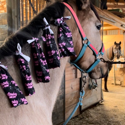 Bay and Boujee TAIL BAG, Horses Tail Bag, Tail Bag for Horses, Tail and ...