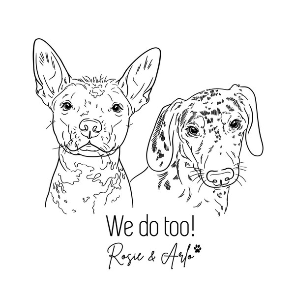 Dog Sketch From Photo, Pet Outline, Custom Line Drawing Illustration ...