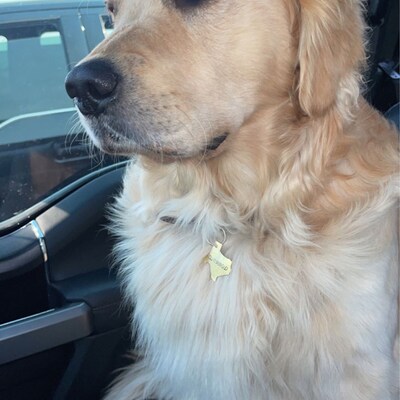 State of Texas or Select Your State Pet Name Tag Medium 1 Max. Custom ...