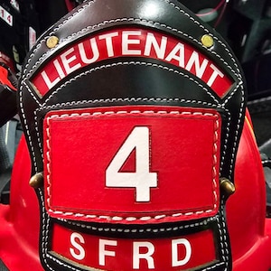 Passport Style Shield - Etsy