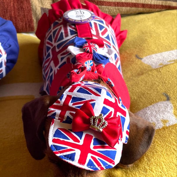 Cowgirl Fancy Dress Costume for All Small Breed Dogs, Designer Dog ...