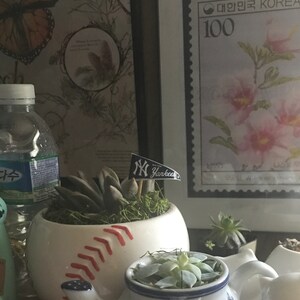 Unique Baseball Fans Lover Ceramic Planter Bowl Pot Customize With Your ...