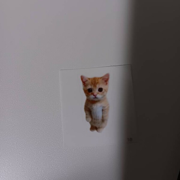 El Gato Sticker - Etsy