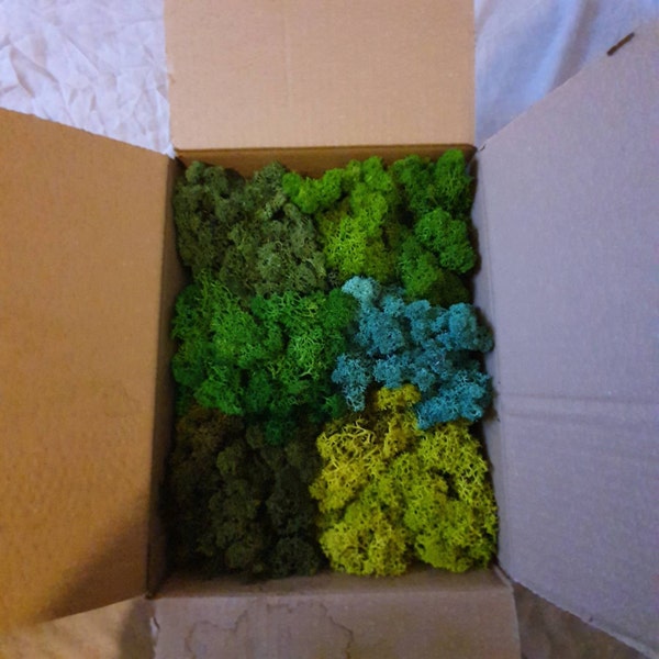 Box With Premium Natural, Preserved Reindeer Moss, Ball Moss, Flat Moss ...