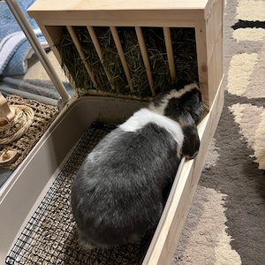 Rabbit Bunny Bowl Feeding Stand - Etsy