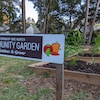 Community Garden, Community Garden Sign, Garden Lovers, Group Garden ...