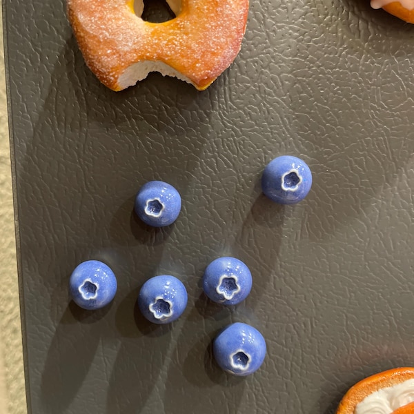 Ceramic Magnet, Ceramic Fruit, Food Magnet, Clay Magnets, Fridge ...