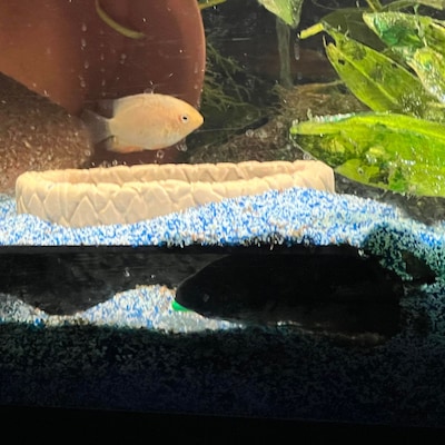 Aquaneat LED Light Riser, Attractive Stable Elevated Stand, Quality LED ...