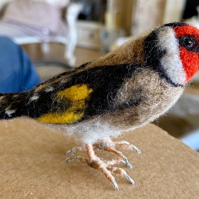 New Zealand Kiwi Bird Birthday Card Cupcake Personalised - Etsy UK