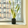Black Plant Pot Black Planter Indoor Planter Indoor Plant Pot Minimal ...
