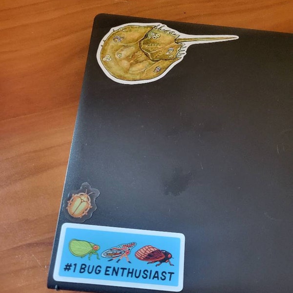 Number 1 Bug Enthusiast Sticker / Entomology / Entomologist / Bug Lover ...