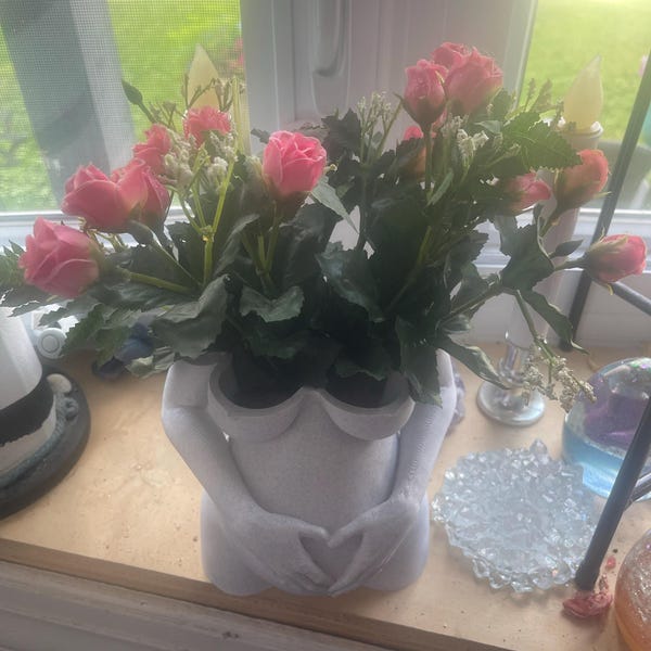 Ballerina Vase, Ballet Flower Pot, Shoe Planter, Succulent, Cacti, Air ...