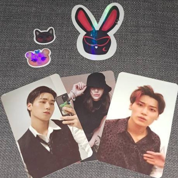 Stray Kids Cute Skzoo Sticker - Etsy