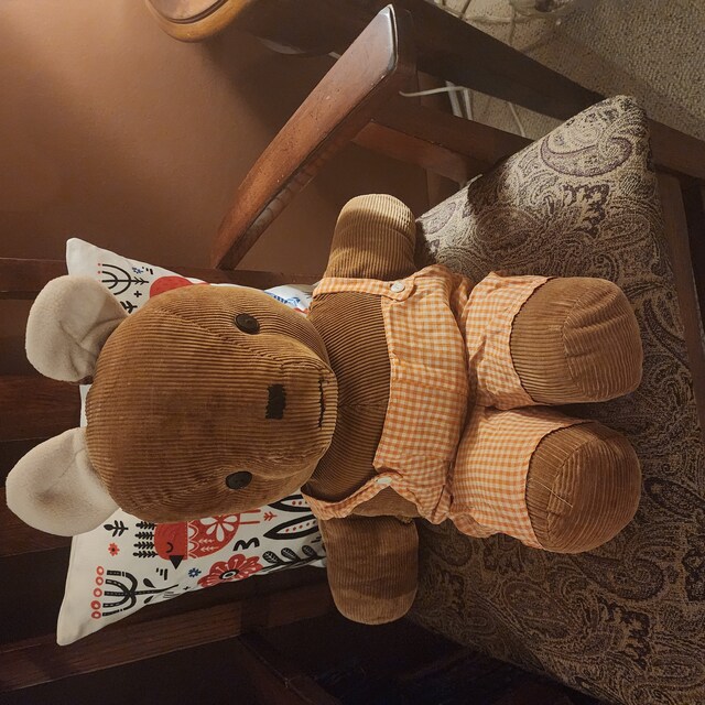 ReMooPlushies - Restore, Remake, Remember Your Plushies - Etsy