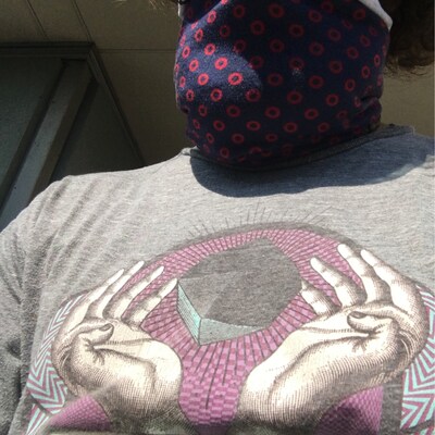 Fishman Classic Donuts Face Mask. Phish Tour - Etsy