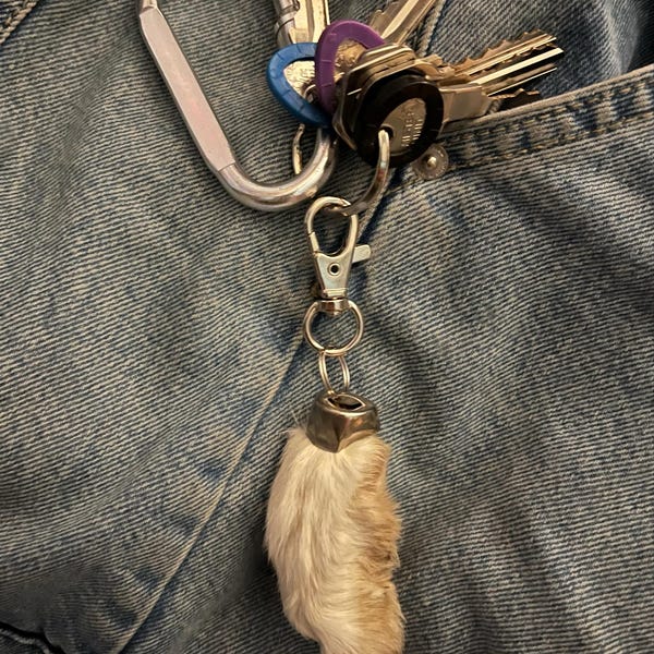 Lucky Rabbit Foot Keychain Charm, Natural Fur Color, Handmade - Etsy